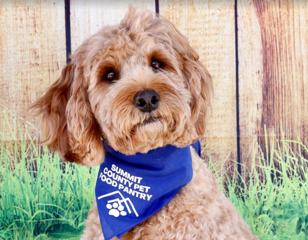 Summit County Pet Food Pantry